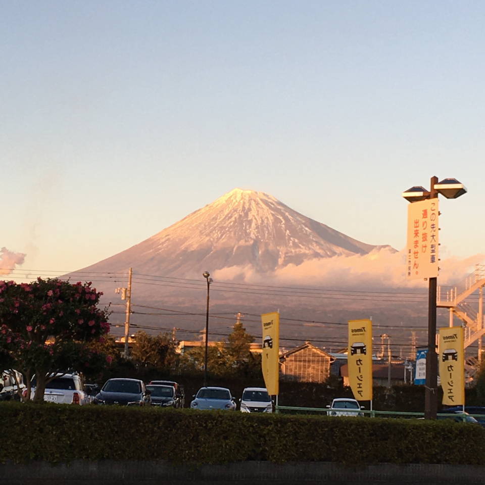 お腹が痛くならないように優しく泳いだ: にわかサイクリスト登場 トライアスロン編